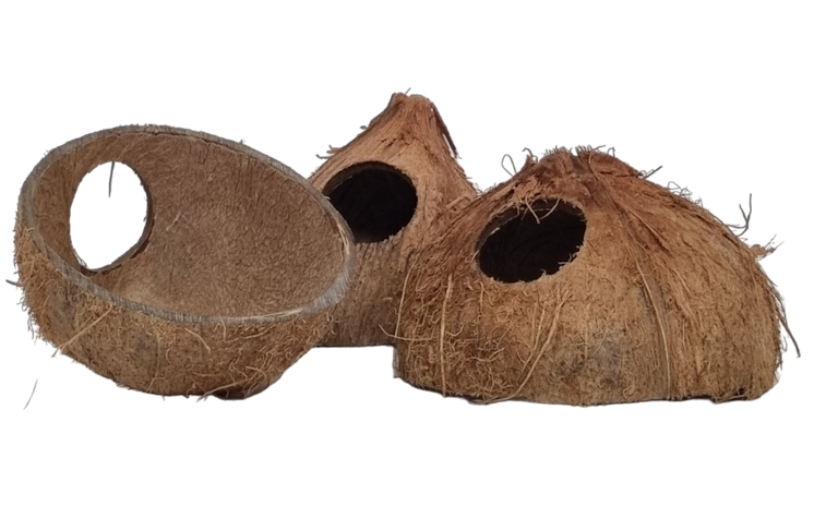 Coconut Cave – Aqua Emporium